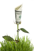 4 Strategies to Grow Revenue in Your Small Business - Hybrid Business ...